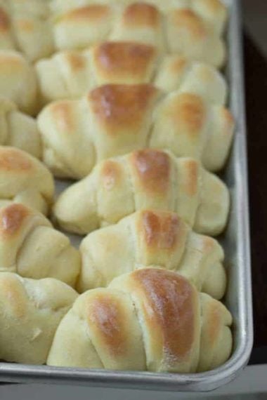 Soft and Buttery Potato Rolls (No Kneading & Melt-in-Your-Mouth!)