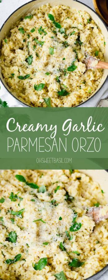Creamy Garlic Parmesan Orzo Recipe (Quick & Easy!) - Oh Sweet Basil