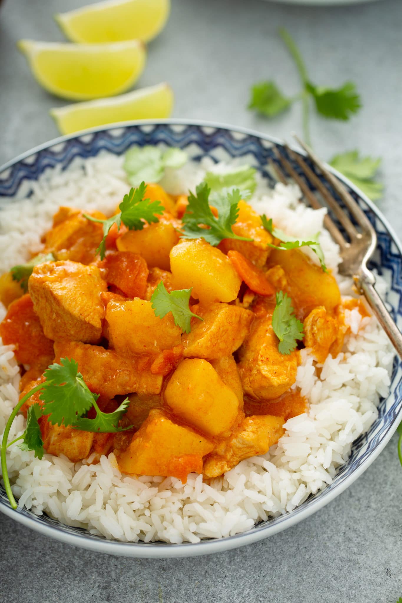 Chicken Curry in the Instant Pot - Oh Sweet Basil