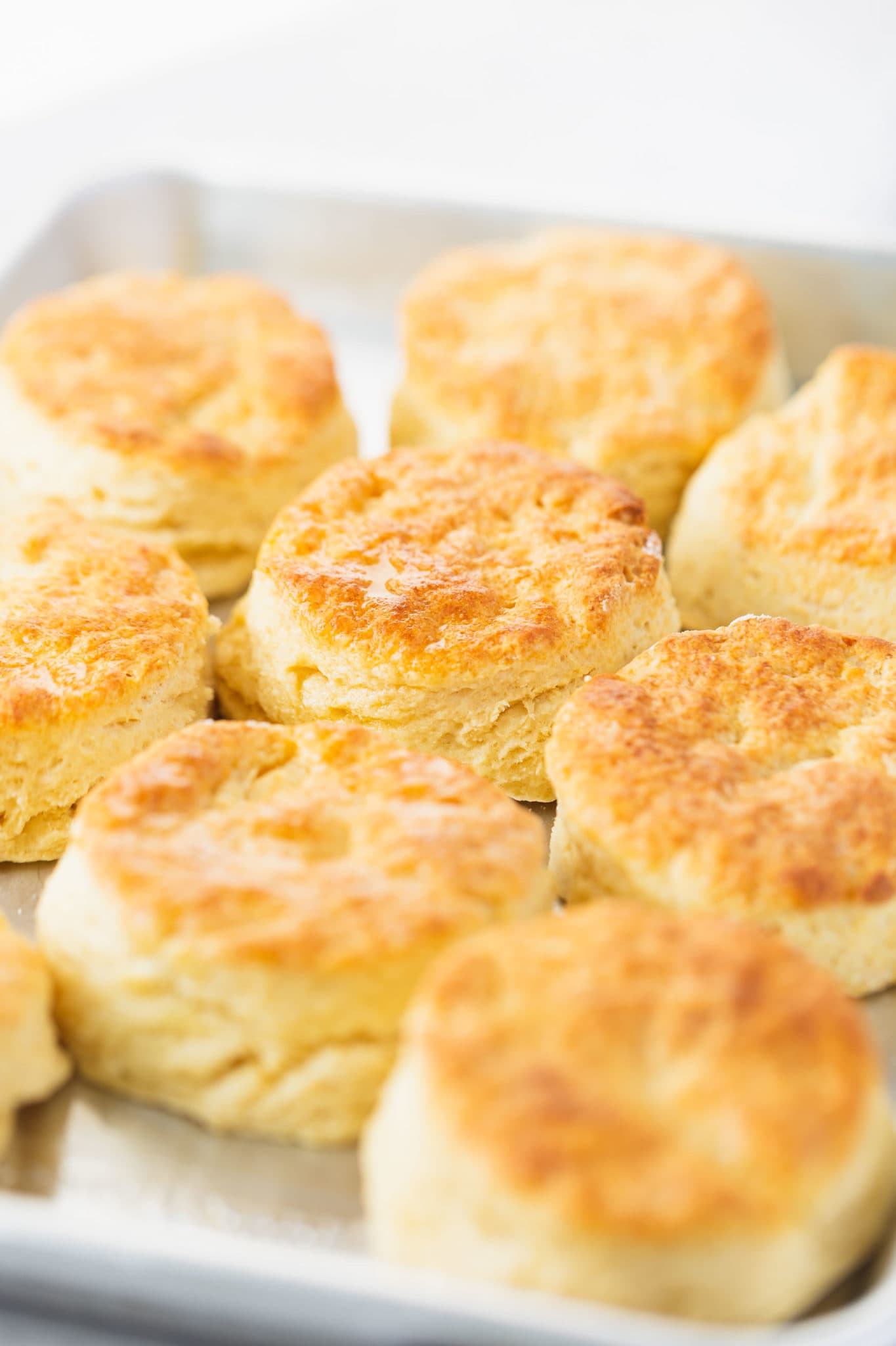 Buttermilk Biscuits Recipe