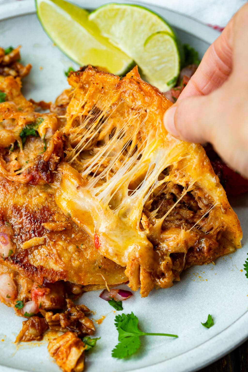 Chicken Birria Taco Recipe (Easy and Delicious) - Oh Sweet Basil