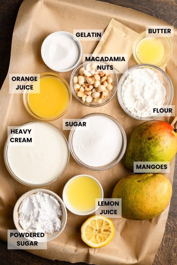 Frozen Mango Dessert with Macadamia Nut Crust - My Store