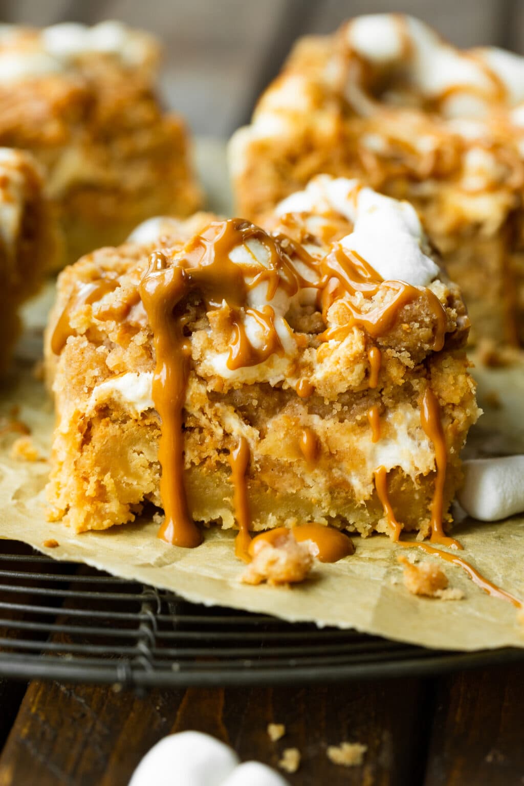 Rich Gooey Biscoff Crumb Bars - Oh Sweet Basil