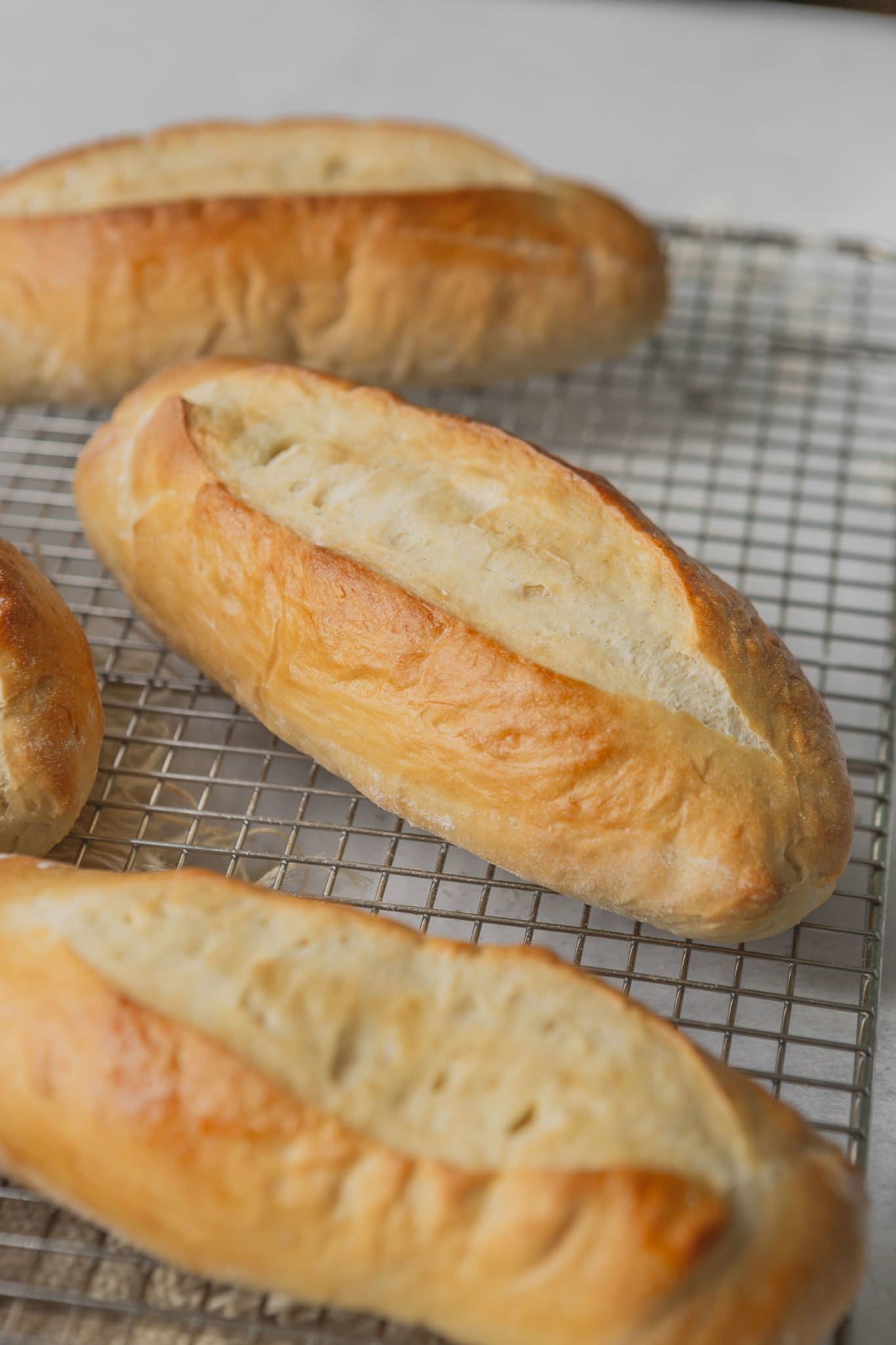 Easy Hoagie Roll Recipe 9 Ingredients Oh Sweet Basil Easy Hoagie Roll Recipe 9 Ingredients Oh Sweet Basil