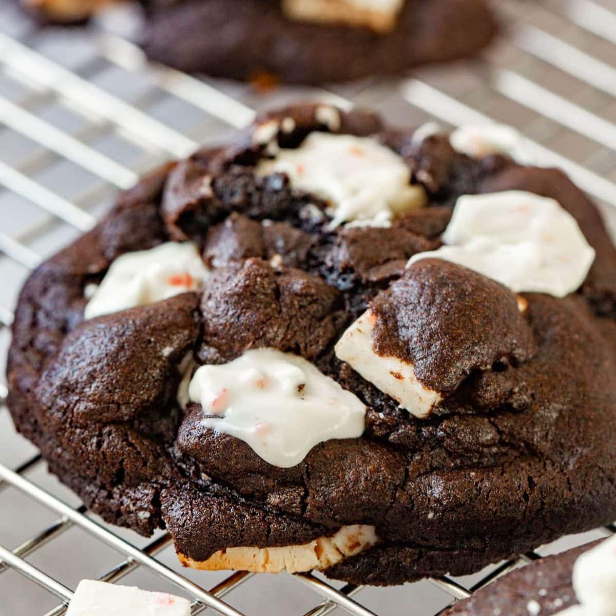 Best Christmas Cookies and Treats for the Holidays