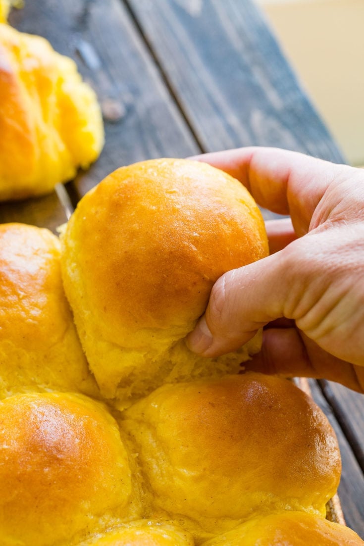 The Softest Pumpkin Rolls Dinner Roll Recipe