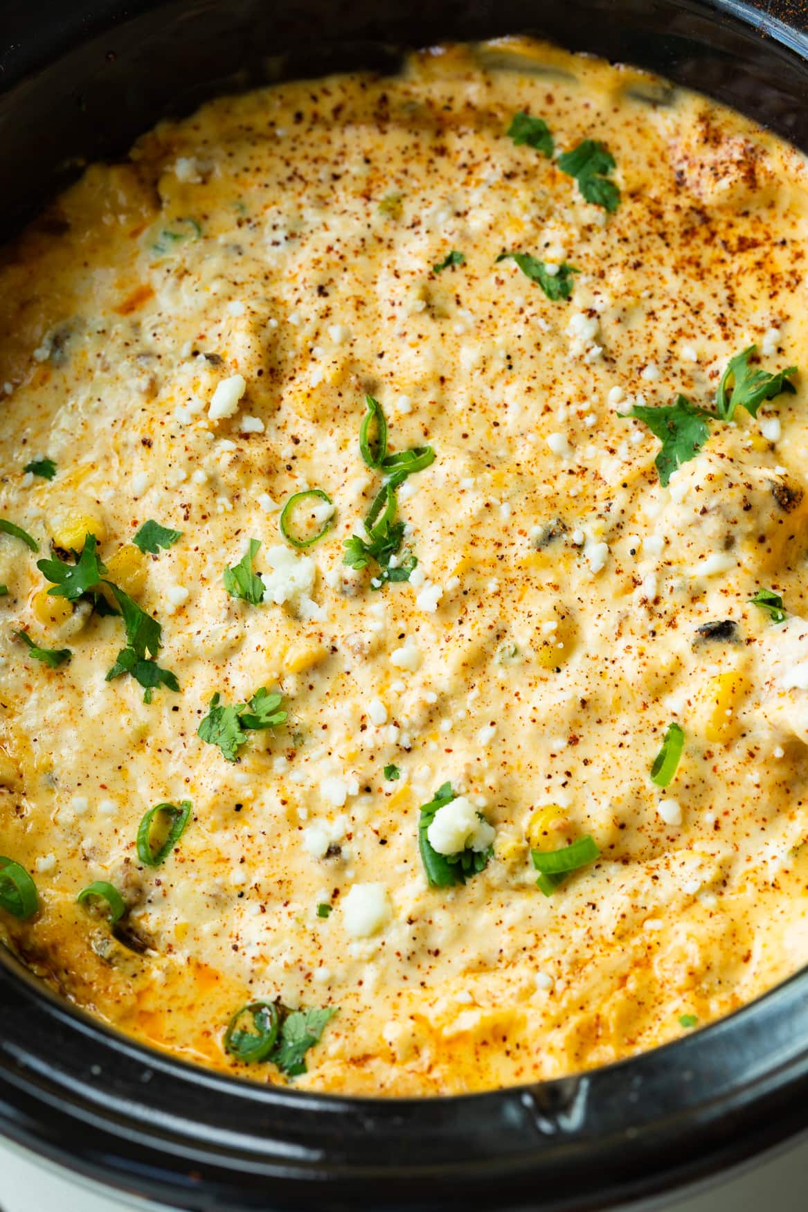 Slow Cooker Mexican Street Corn Dip [+Video]