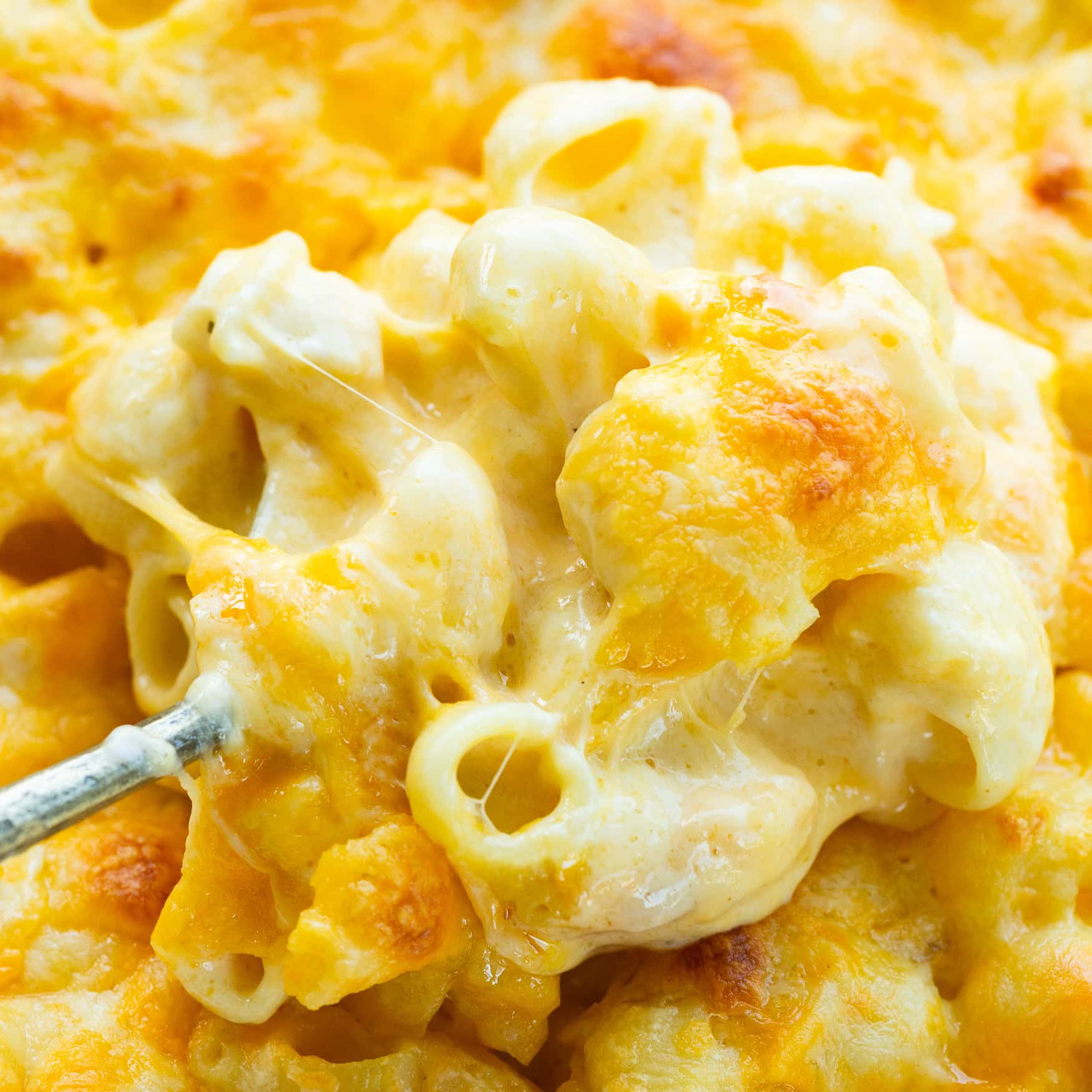 African American Macaroni And Cheese